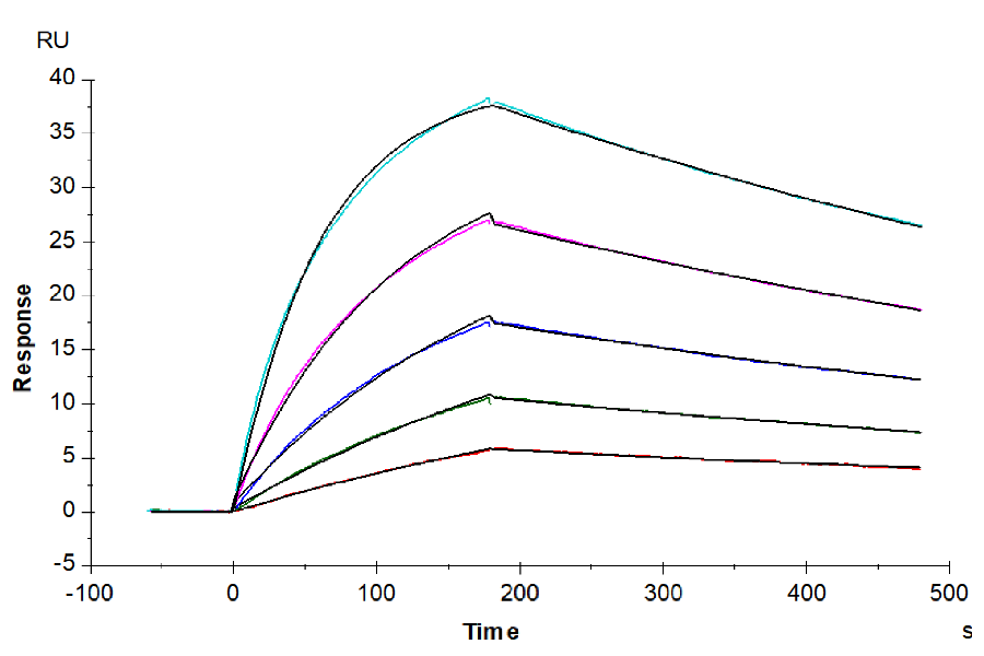 恺佧生物科技（上海）有限公司
