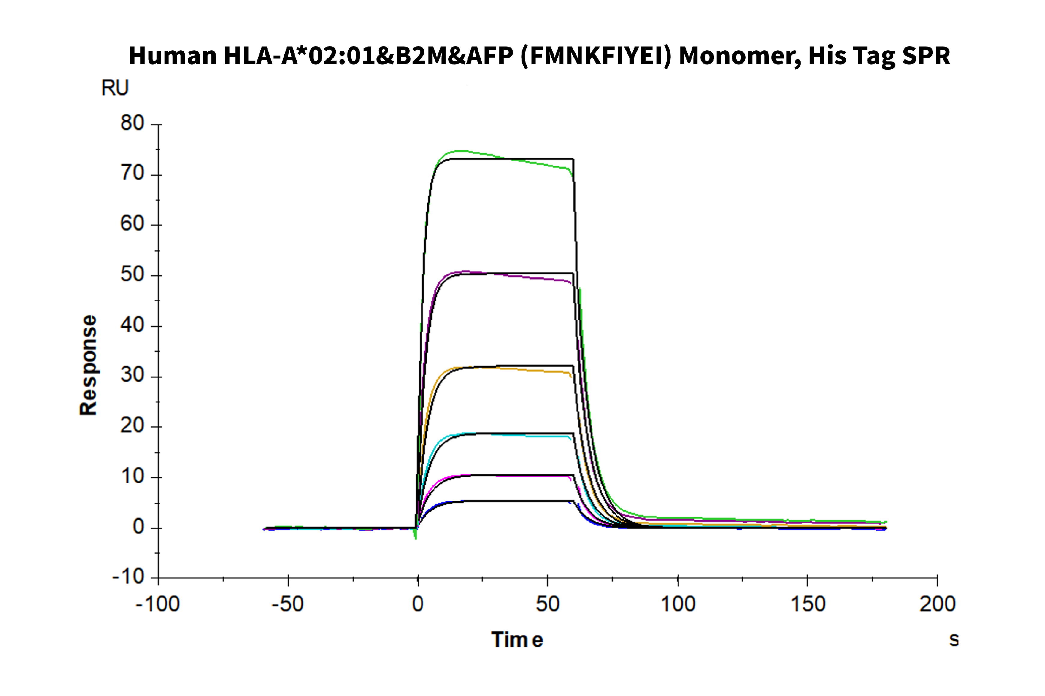 恺佧生物科技（上海）有限公司 - 细胞治疗解决方案