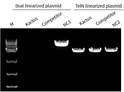 恺佧生物科技（上海）有限公司 - 基因治疗解决方案