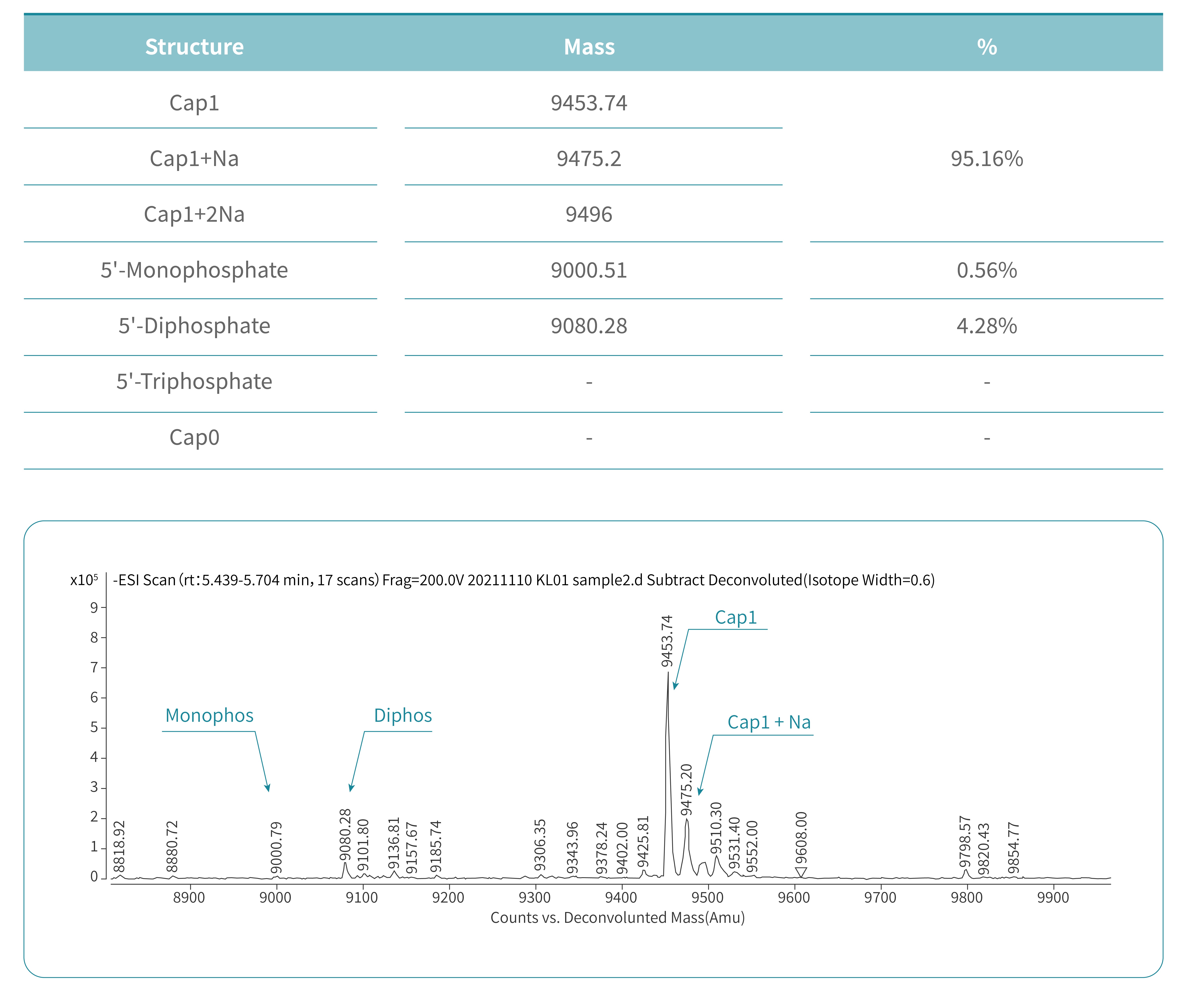 恺佧生物科技（上海）有限公司 - mRNA体外合成解决方案